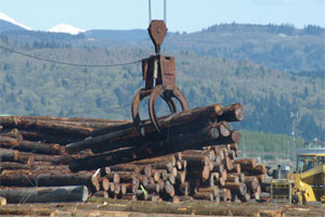 Self Loading Log Barge-BUCYRUS-ERIE