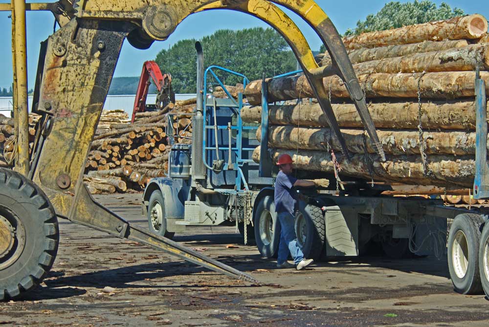 Unloading logs LeTourneau Stacker