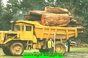 VanNatta Forestry, Logging and Trucking Links